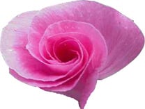 Le sens des couleurs | ADMIRABLE DESIGN